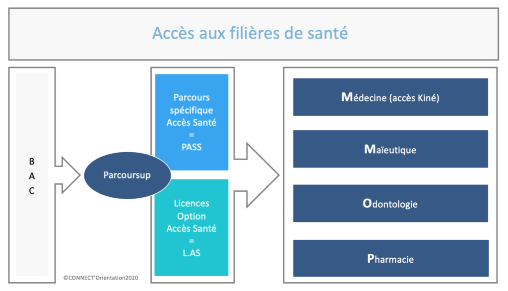 schema_general_etudes_de_sante - CONNECT'Orientation